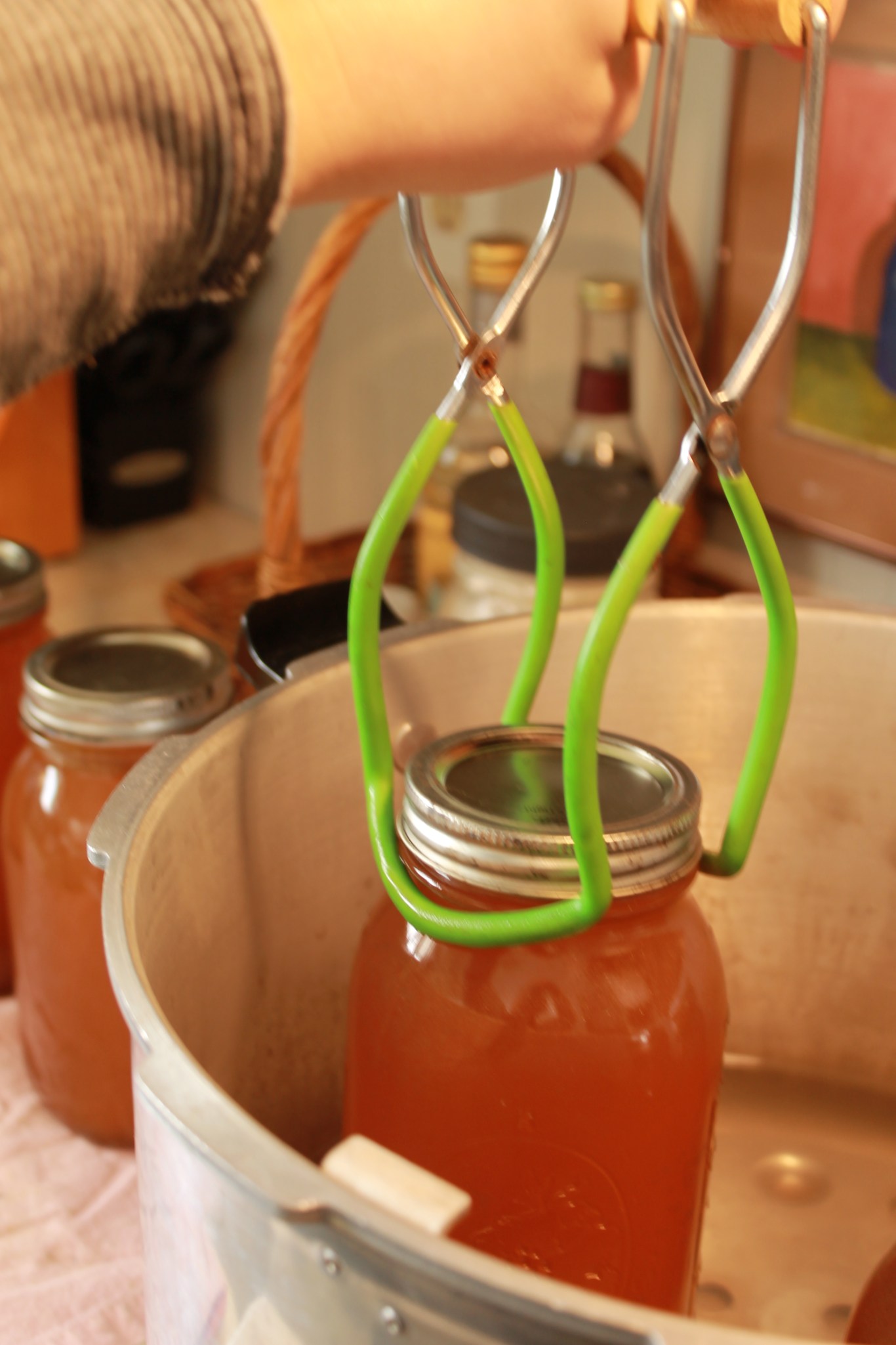 Shelf Stable Homemade Broth | Pressure Canning Broth | The Cottage ...