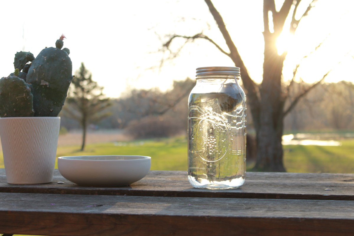 Herbal Sun-Tea | Pantry Recipe for Loose leaf teas | The Cottage Vegetable