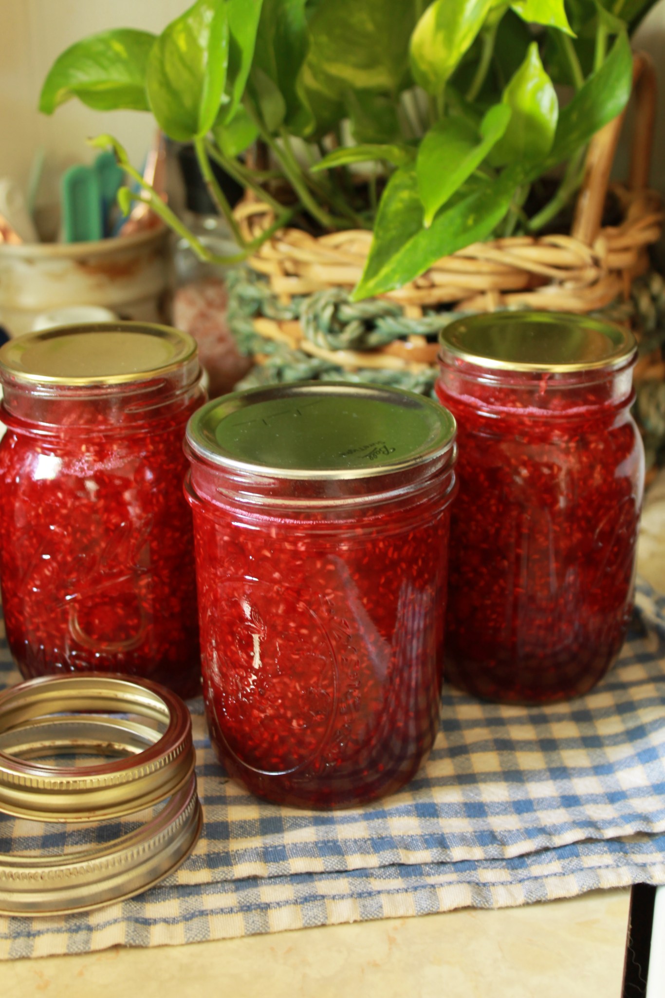 Raspberry Preserves | Water Bath Canning | The Cottage Vegetable