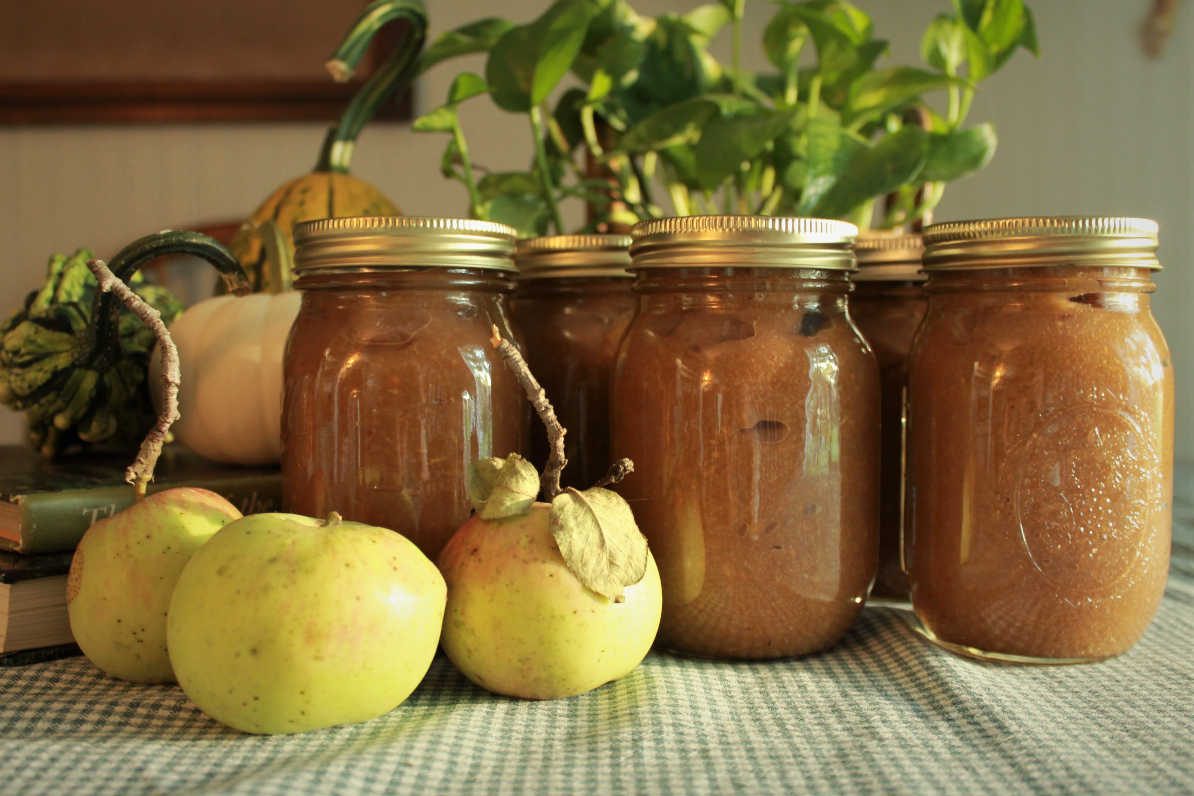 Spiced Applesauce | Water Bath Canning | The Cottage Vegetable