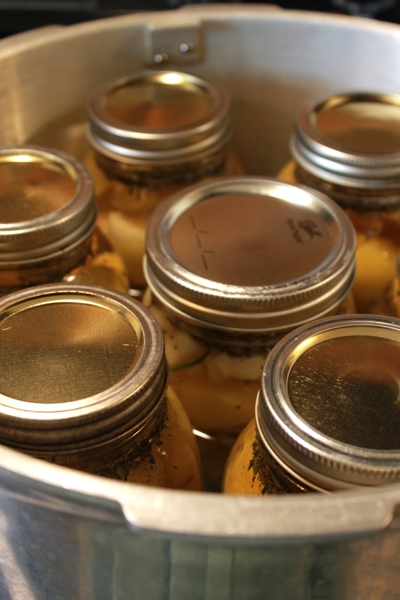 Herbed Potatoes with Onions | Pressure Canning, Raw Pack, Potatoes in ...