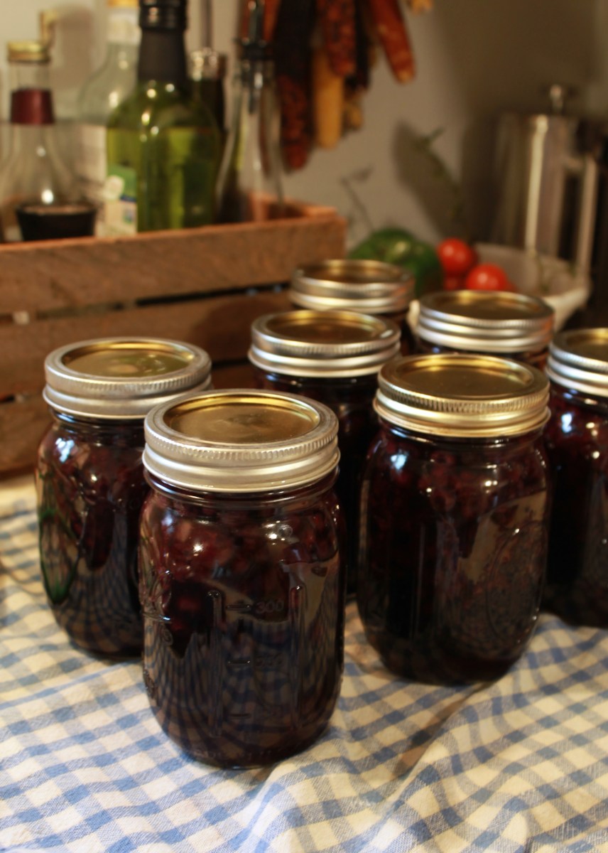 Blueberry & Lemon Syrup | Water Bath Canning | The Cottage Vegetable