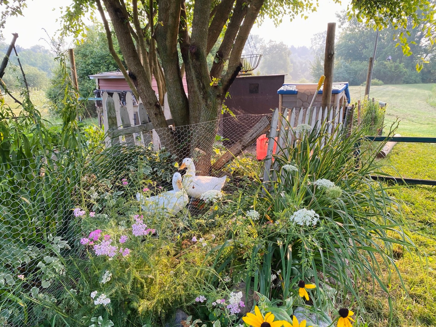 Zone 6 – General Seed Starting Timeline (not complicated) | The Cottage ...